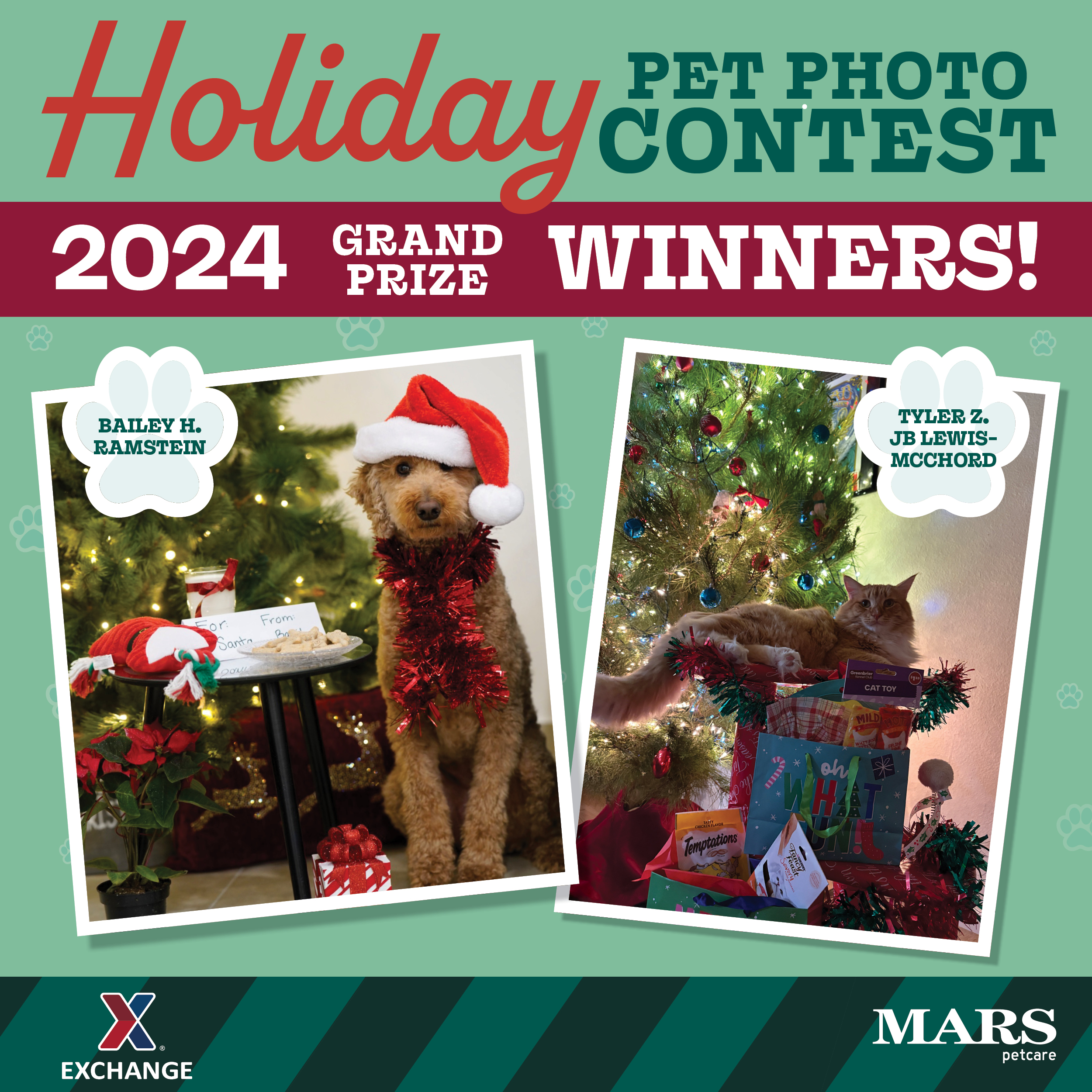 2024 Holiday Pet Photo Contest Winners - Exchange Community Hub